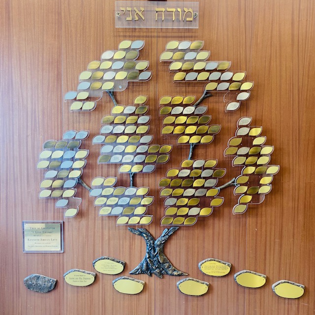 Contribute - bethchaim